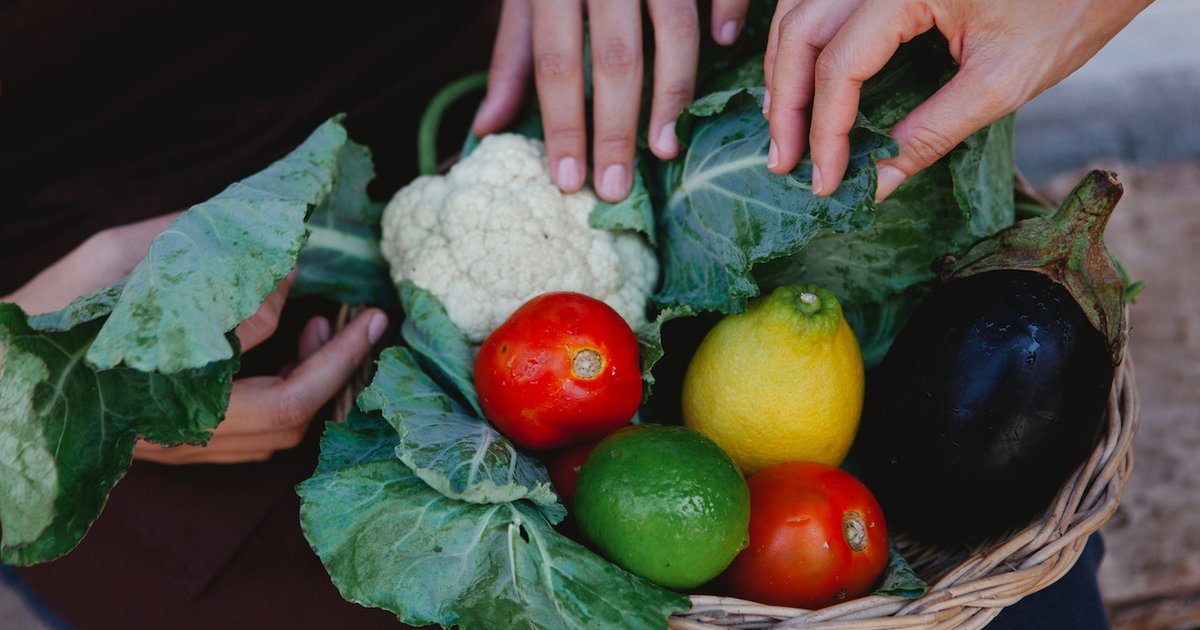 LDAT Spotlight: Melbourne multicultural women’s circles | ADF Community Hub